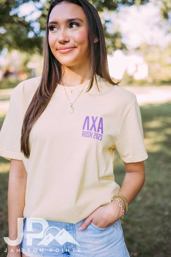 Lambda Chi Fall Rush Lion Tshirt - Jamison Pointe