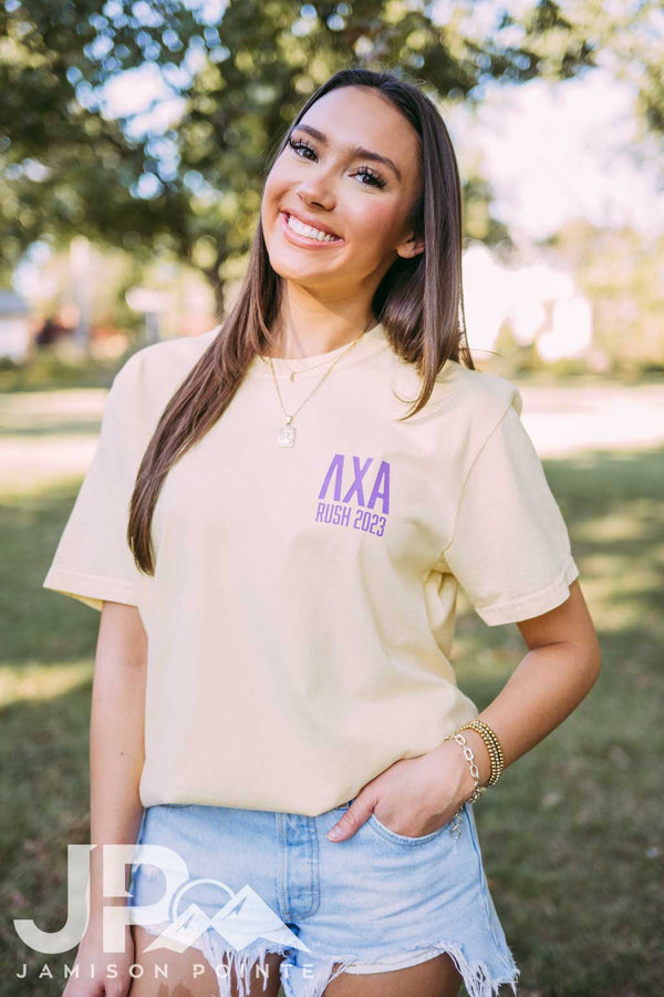 Lambda Chi Fall Rush Lion Tshirt - Jamison Pointe